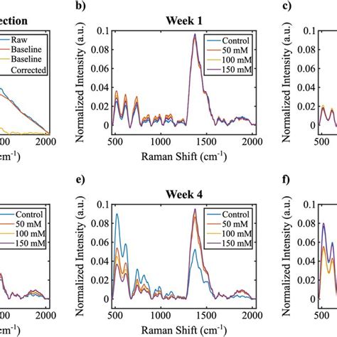 a application of baseline correction on an example spectrum b f
