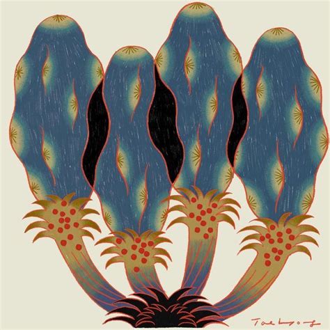 Taehyoung Jeon Maria🇰🇷 On Instagram 식물드로잉 아이패드 프로크리에이트 일러스트 일러스트레이터 그림 삽화 디지털드로잉