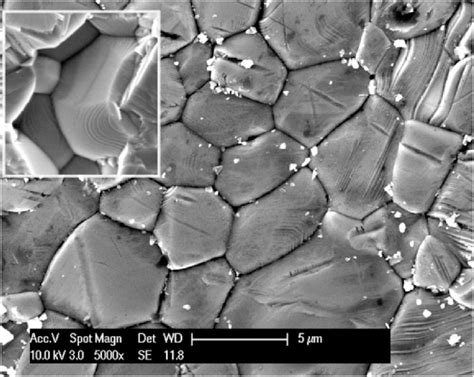 Sem Micrograph Of Polished Zno Ceramic Sample Measured After Sintering Download Scientific