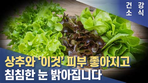 상추와 함께 먹으면 보약되는 음식 3가지와 레시피 이것과 함께 드세요 피부와 눈에 좋은 음식 Youtube