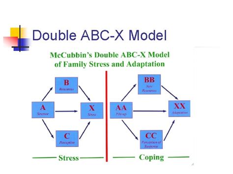 Double Abcx Model Double Abcx Model N N