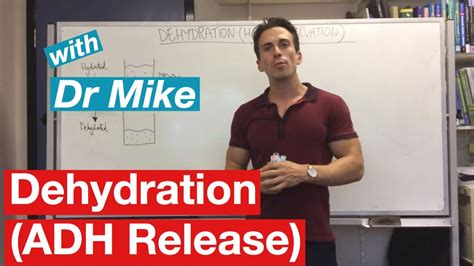 Dehydration Adh Release Adh คือข้อมูลที่เกี่ยวข้องที่สมบูรณ์ที่สุด