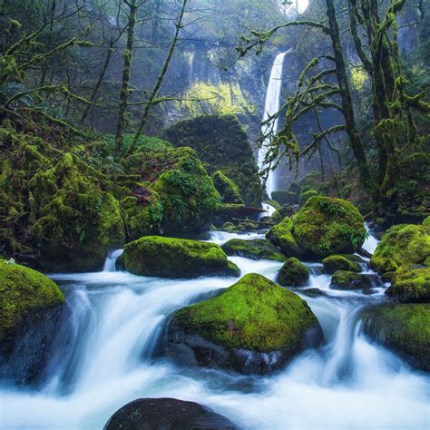 Hiking Trails Cascade Locks Oregon At Rodney Hickman Blog