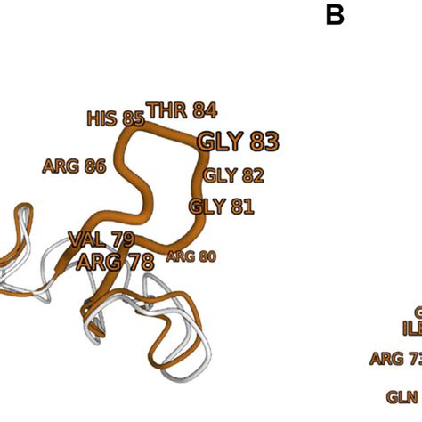 Examples Of Applications Of The Visualization Tool A Localization Of Download Scientific