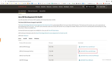 12 linux arm架构 安装jdk8 银河麒麟v10（kylin linux advanced server v10 ）操作系统