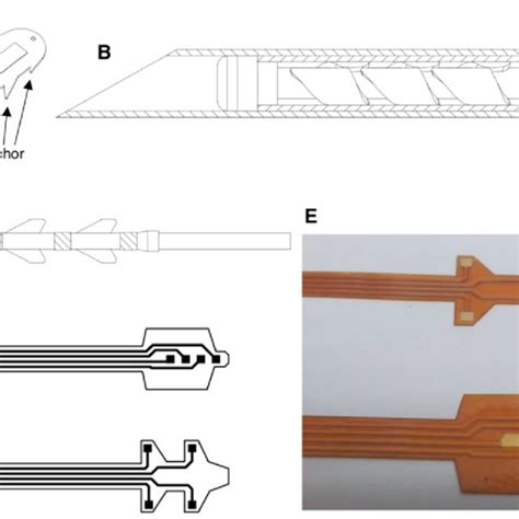 Designs Of The Neuron Stimulatory Electrodes A The Stretchable Download Scientific Diagram