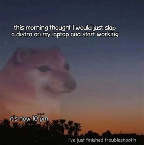 Linux Memes Do You Have Follow 👉 Linux Memes For More Amazing Humour And Informative Post