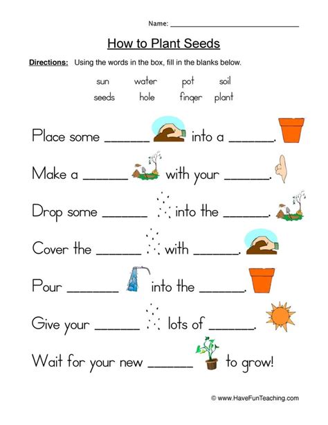 Seeds Plants Fill In The Blanks Worksheet Have Fun Teaching Plants Worksheets 1st Grade
