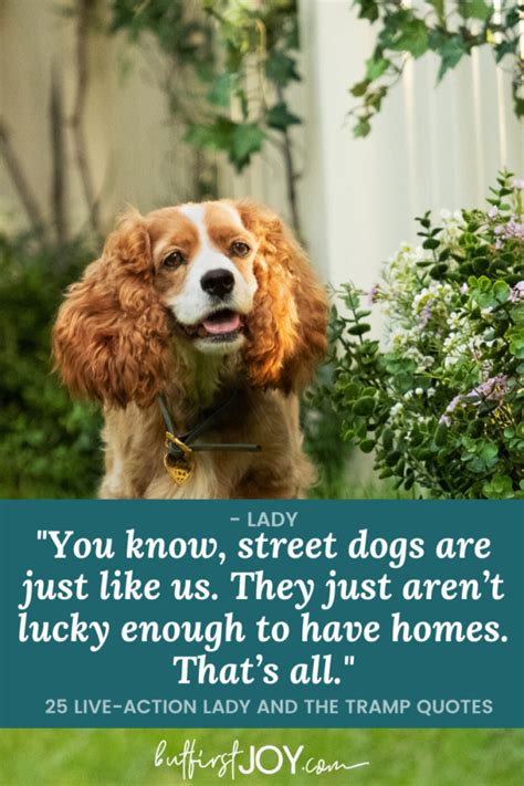 25 Best Live Action Lady And The Tramp Quotes Disney But First Joy