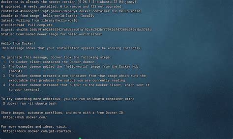 如何在 Ubuntu 2004 上安装 Docker和dockercompose 阿里云开发者社区