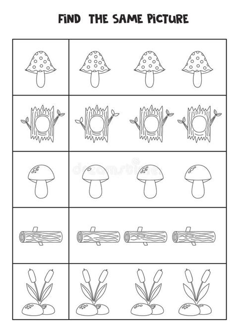 Find Two The Same Woodland Elements Black And White Worksheet Stock Vector Illustration Of