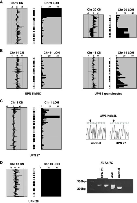 Single Nucleotide Polymorphism Array Results And Initial Mutation