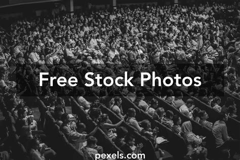 Public Assembly Photos Download The Best Free Public Assembly Stock