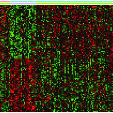 heat map of the top 100 degs hierarchal clustering was performed using