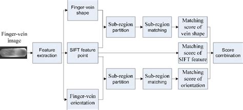 Block Diagram For Personal Identification Using Finger Vein Images Download Scientific Diagram