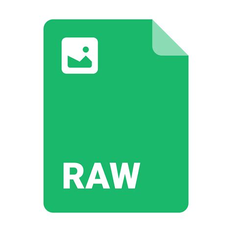 Extension File Format Raw Icon Download On Iconfinder
