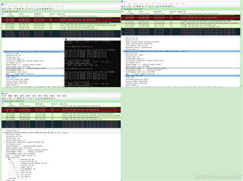 【网络安全技术与应用】（选修）实验2 用wireshark分析典型tcpip体系中的协议端口53255 Csdn博客