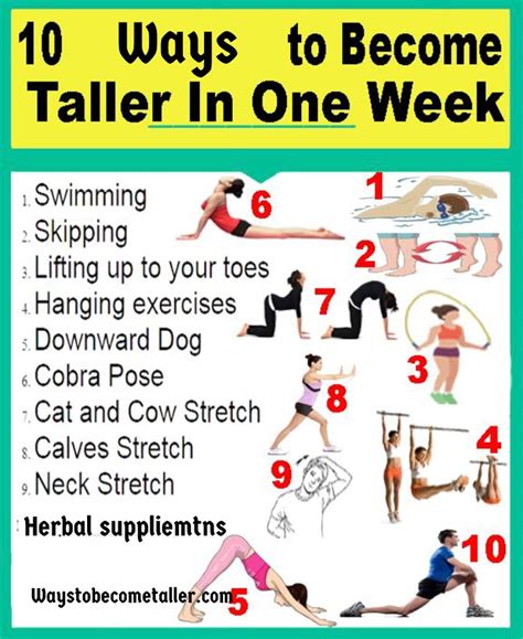 Best Ways To Become Taller In One Week Get Taller Exercises Taller