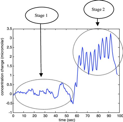 Example Of A Typical Fnir Signal With Rest And Head Motion Stages