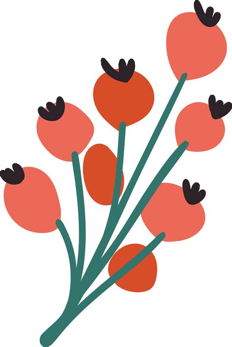 Floral Element Twig With Berries 12421346 Png