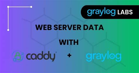 Caddy Webserver Data In Graylog