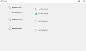 Custom Radiobutton Winform C Rashiui Rashi Code