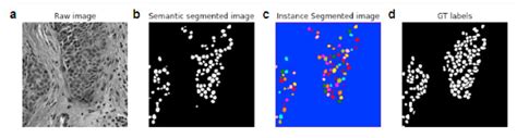 The Figure Shows The A Original Image B Corresponding Semantic Download Scientific Diagram