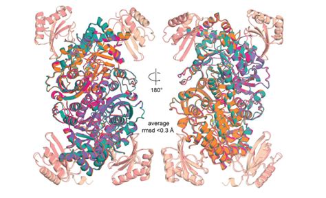 Photosynthesis On Earth Evolution Of Increased Complexity And