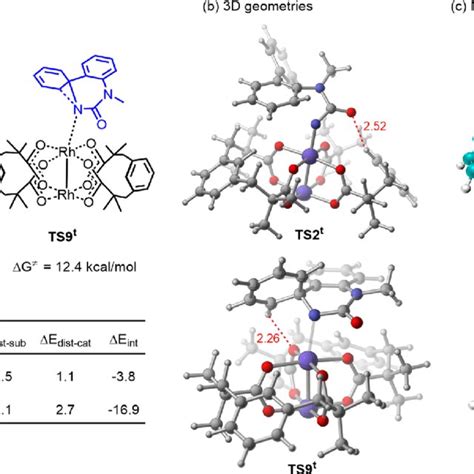 A Distortion−interaction Analysis On The Selectivity Determining