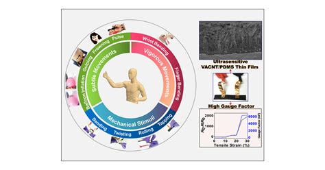 Ultrasensitive Wearable Strain Sensors Based On A Vacntpdms Thin Film For A Wide Range Of Human