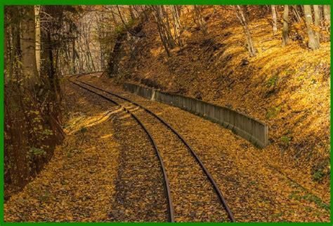 Ai Powered Barcode Scanners Enhancing Efficiency And Accuracy