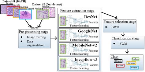 framework of the proposed breast cancer histo pathological image