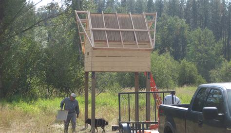 Little Spokane River Bat Condo Is A Local Conservation Success Out