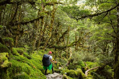 Everything You Need To Know To Hike New Zealands Newest Great Walk