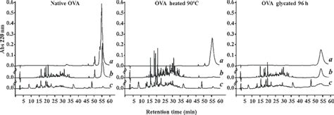 Rp Hplc Analyses Of A Native Heated 90 °c 15 Min And Glycated Download Scientific