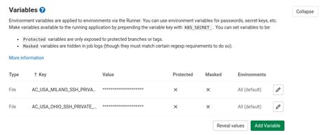 Deploy Through Ci Olmo