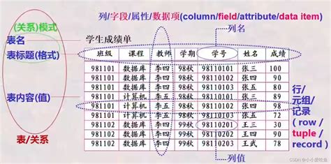 数据库知识点总结（第一讲 初步认识数据库）dml必须使用应用程序接口是什么意思 Csdn博客