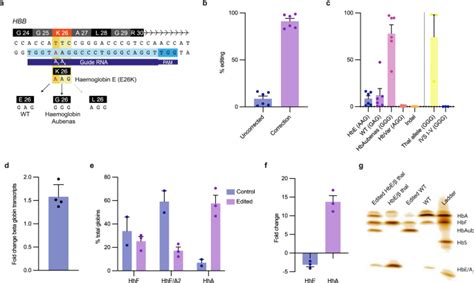 使用碱基编辑器直接校正血红蛋白 E β 地中海贫血 Nature Communications X Mol