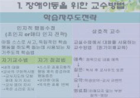 개별화교육과 교수방법 개별화교육계획iep 개별화교육프로그램의 목표 법적근거 수립 개별화교육계획iep 개별화교육프로그램의 교육과정 전달체제 개별화교육