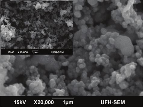 SEM Micrographs Showing Effects Of The Titanium Dioxide Thin Film Download Scientific Diagram