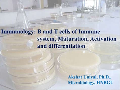 Lymphocytes Development Dr Akshat Uniyal Ppt