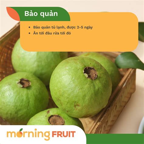 Ổi Ruby Morning Fruit Trái Cây Chất Lượng Cao