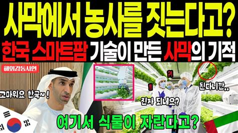 해외감동사연 사막에서 농사를 짓는다고 Youtube