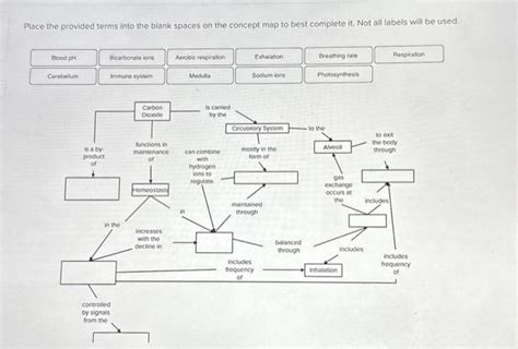 Solved Place The Provided Terms Into The Blank Spaces On The