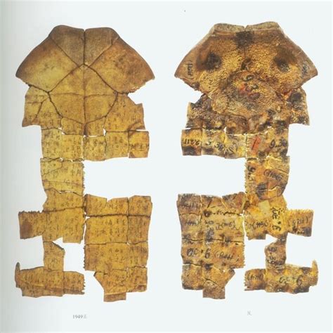 Oracle Bones Archaeology News Online Magazine
