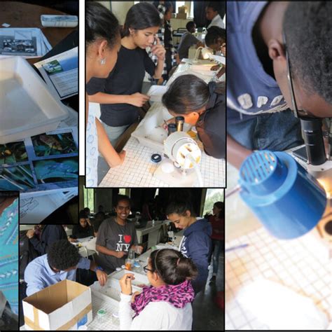 Pictures Of The Laboratory Activities Including The Organisation Download Scientific Diagram