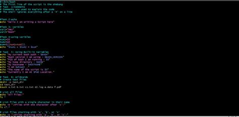Fauzeya Naheed On Linkedin Day7 90daysofdevops Aws Linux Devops Bashblaze Bashscripting