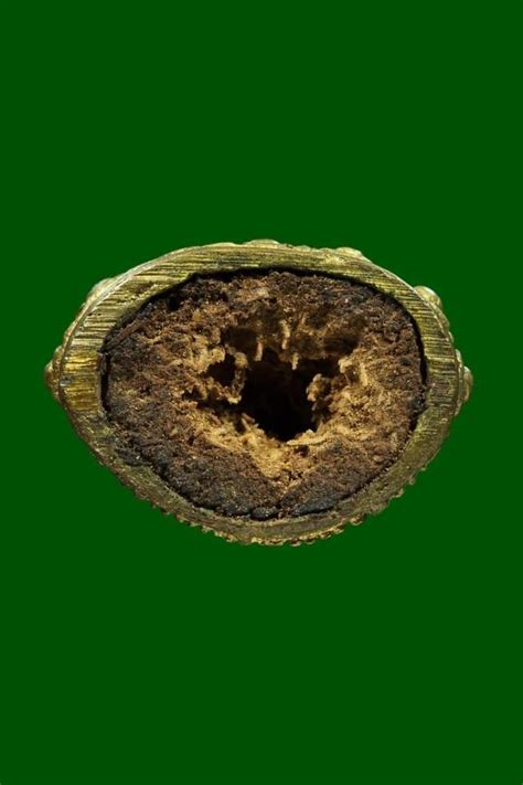 พระกริ่งมหาลาภ รุ่นทิ้งทวน ปี๒๕๓๘ หลวงปู่วรพรต ๙๔ ปี ถือว่าเป็นวัตถุมงคลอีกรุ่นที่ได้รับความ