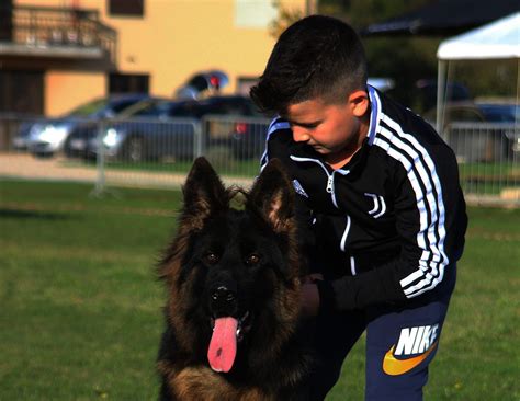 Otac I Sin Ponovno Pobjednici