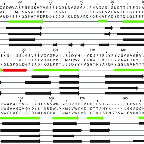 sequence alignment and secondary structure analysis of the proteins